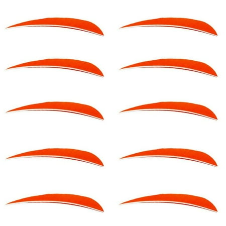 10 Pieces Drops Archery Hunting Arrow Feather Fletching Right Wing ...