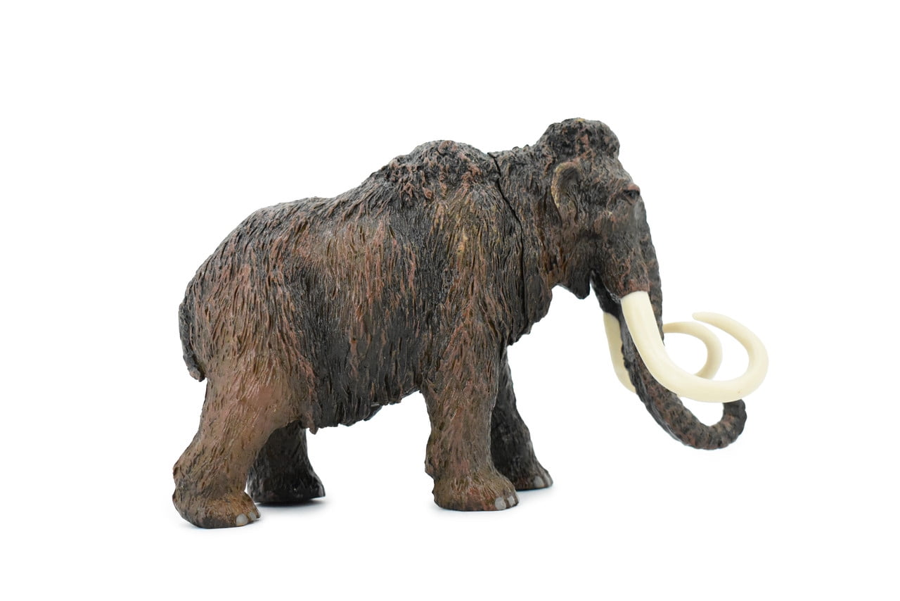 Wooly Mammoth, Prehistoric Mammal, Museum Quality, Hand Painted ...