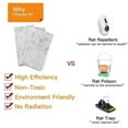 Walmart Rat Sticky Pads, Mouse Trap Board, Rodent Glue Traps - Walmart.com Walmart Rat Sticky Pads, Mouse Trap Board, Rodent Glue Traps - Walmart.com