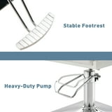 BarberPub Classic Styling Salon Chair Hydraulic Barber Chair Beauty ...