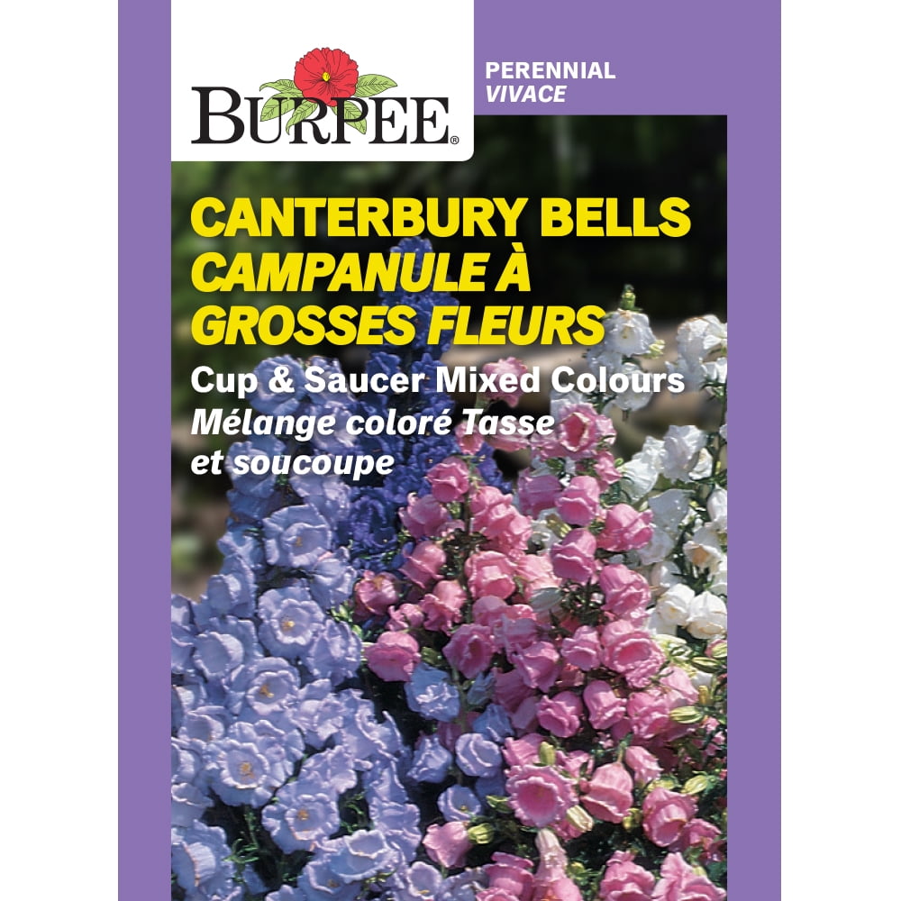 Click here for Burpee Canada Burpee Cup & Saucer Mixed Colours Ca... prices
