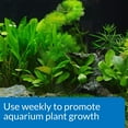 API Leaf Zone Promotes Aquarium Plant Growth [Aquarium Plant Food and ...