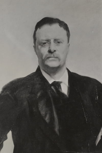 Print: Theodore Roosevelt, Half-Length Portrait, Facing Front, circa ...