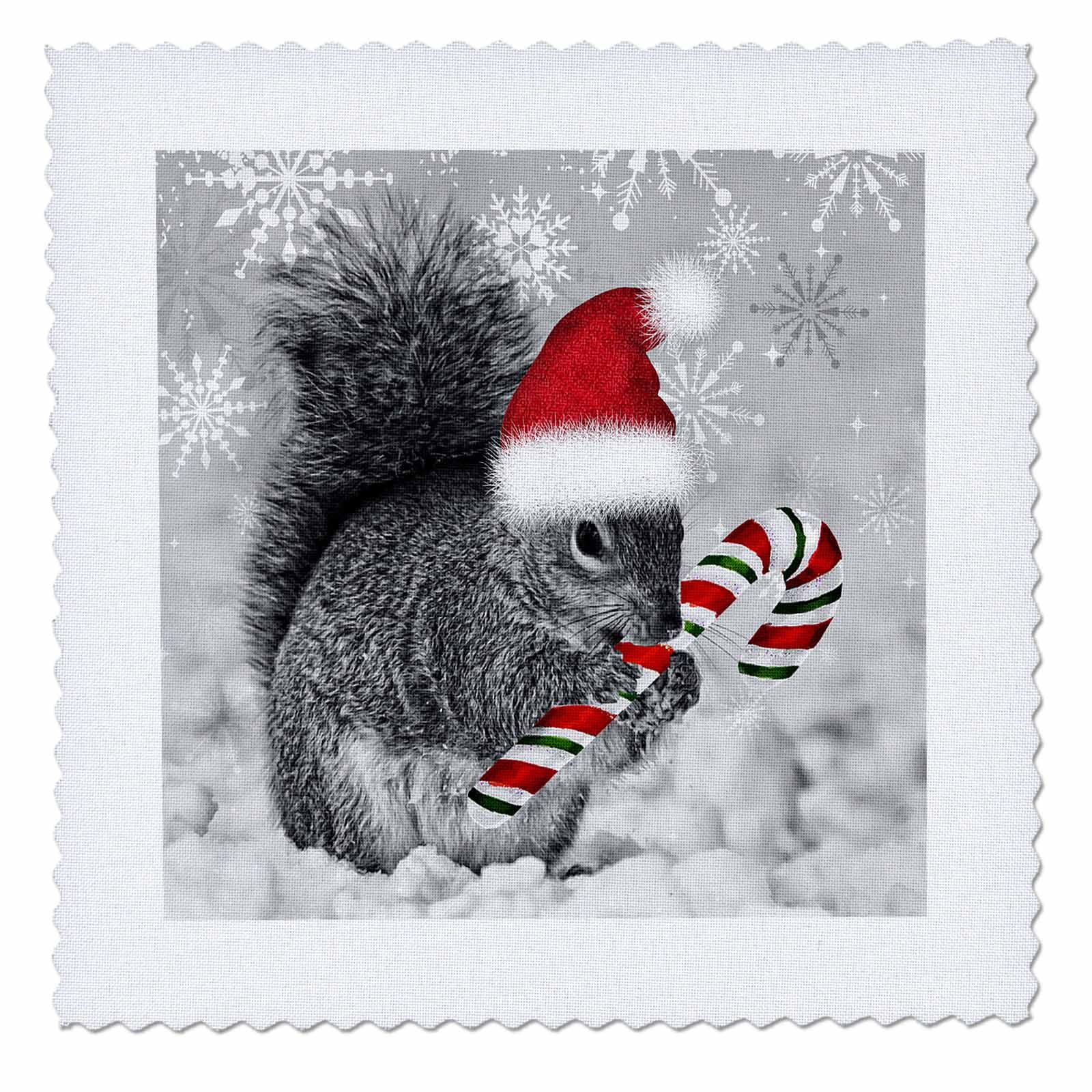 3dRose This cute Christmas squirrel has a candy cane and a Santa hat in ...