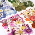 110+PCS Pressed Flowers for Resin molds Real Dried Flower Leaves ...