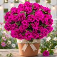 16 Pcs Realistic Artificial Geranium Plants UV Resistant for Indoor ...