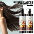 Sadoer Ginger Shampoo And Conditioner For Stronger Hair Roots And Anti