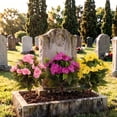 Artificial Impatiens Flowers, UV Resistant Silk Impatiens Bushes ...