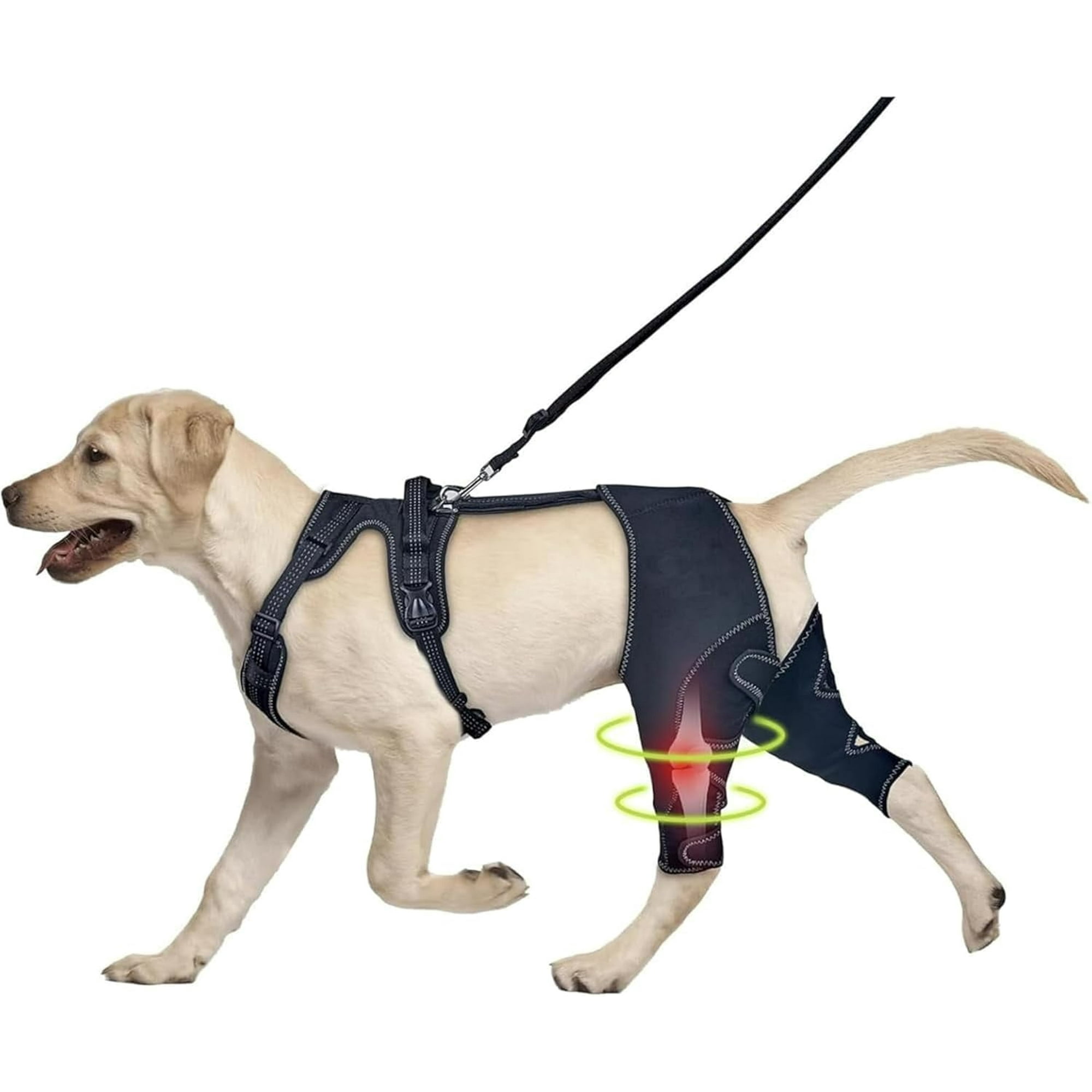 Click here for Wagwize Knee Brace Harness For Dogs  360° Wrapping... prices