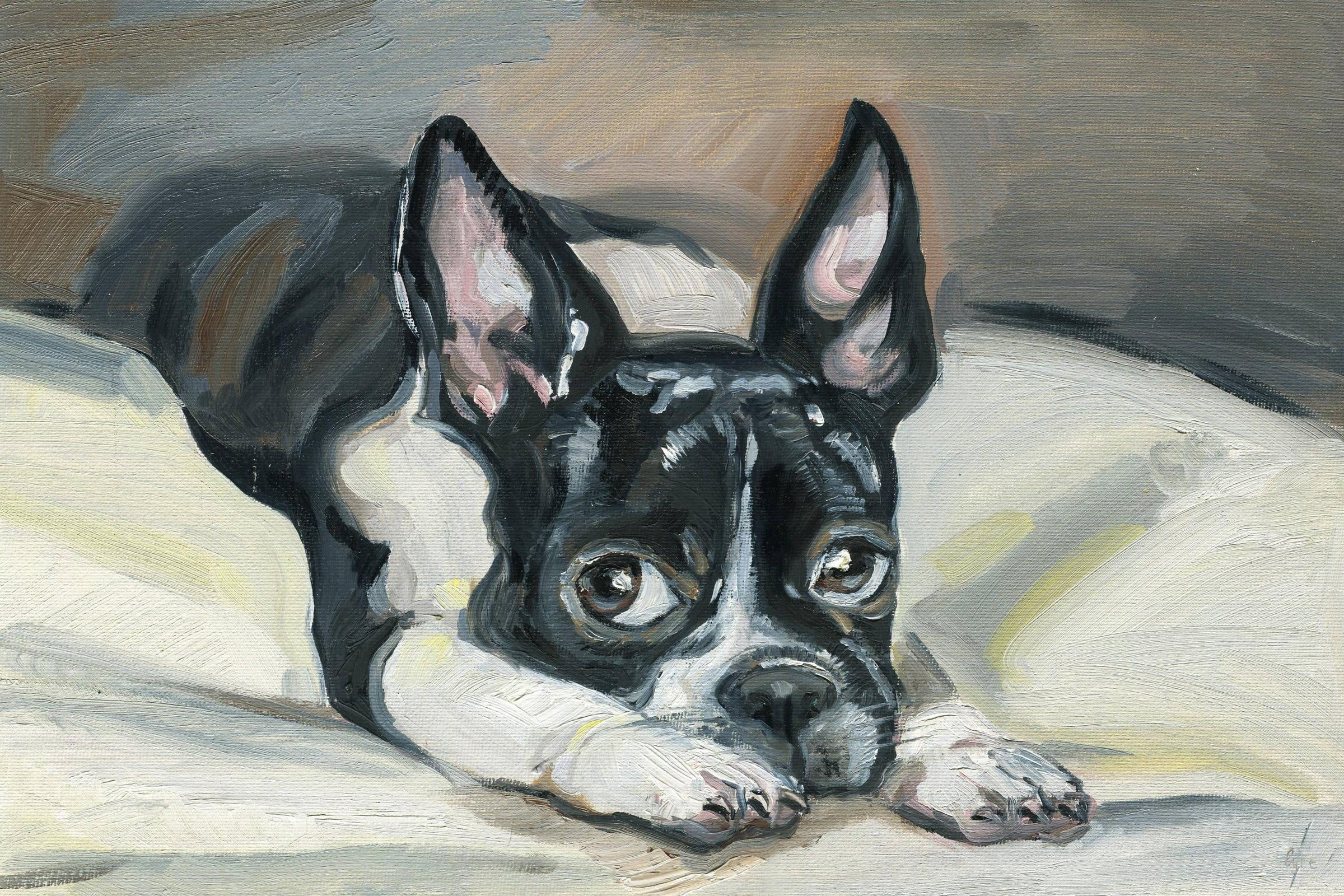 Marmont Hill Frenchie Eyes II by Eyre Tarney Canvas Wall Art - Walmart.com