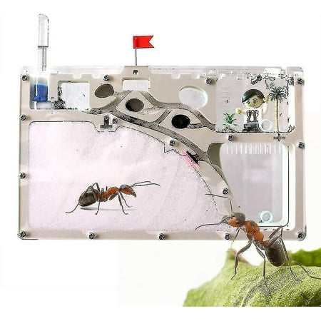 Sand Ant Farm Acrylic Transparent Ant Castle Nest 360 Degree Panoramic ...