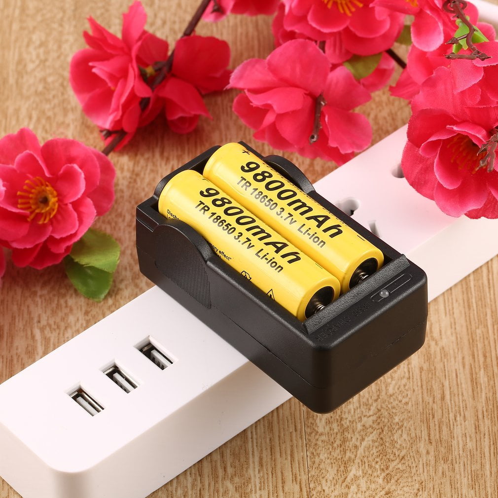 AC 110-240V 18650 4.2V Rechargeable Li-ion Dual Battery Charger US Plug ...