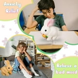 Olygee Bunny Pal, Yifare Bunny Pal, Petsboro Bunny Pal, Fanyil Bunnypal ...