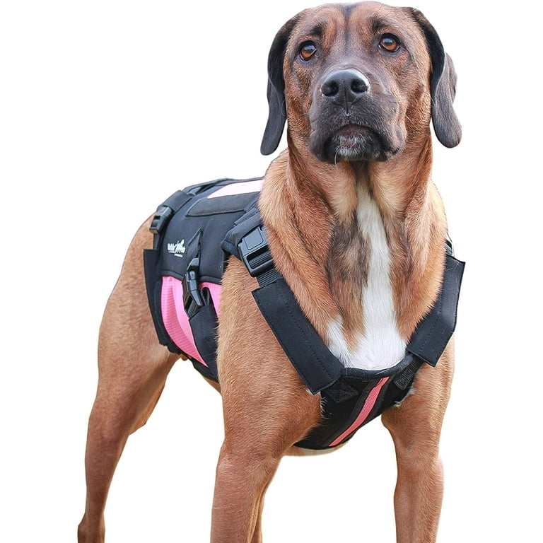 Lumbar Support Belt Lumbosacral Back Brace – Ergonomic