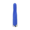 Evolved Twisted Temptation Vibrating Bullet - Purple - Walmart.com