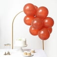 BalsaCircle 25 Terracotta Matte Round 12" Latex Helium Plain Balloons ...