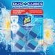 Soft Scrub In-Tank Toilet Cleaner Duo-Cubes, Sapphire Waters, 2 Count ...