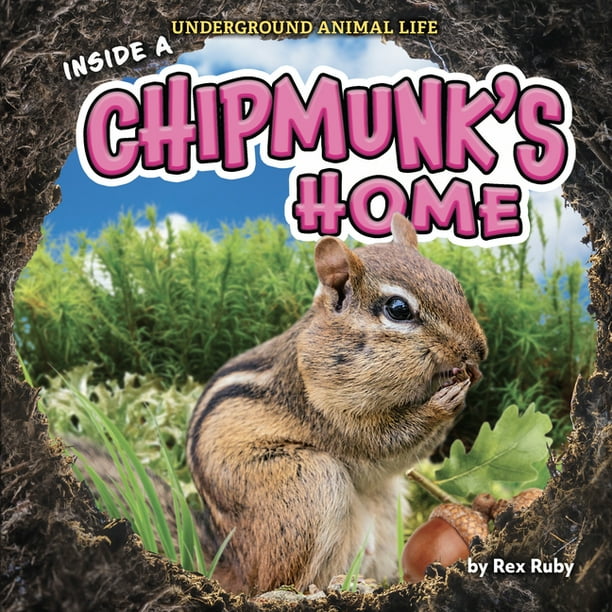 Underground Animal Life: Inside a Chipmunk's Home (Hardcover) - Walmart.com