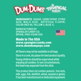 Dum Dums Limited Edition Flavor Mix Lollipops & Suckers, Party Candy ...