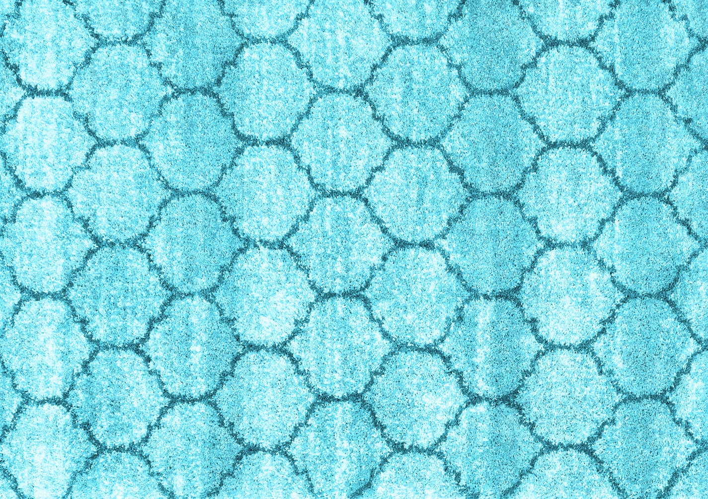 Ahgly Company Indoor Rectangle Trellis Light Blue Modern Area Rugs, 2 ...