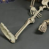 Halloween Party Decoration Human Skeleton Poseable Joints Small Full ...
