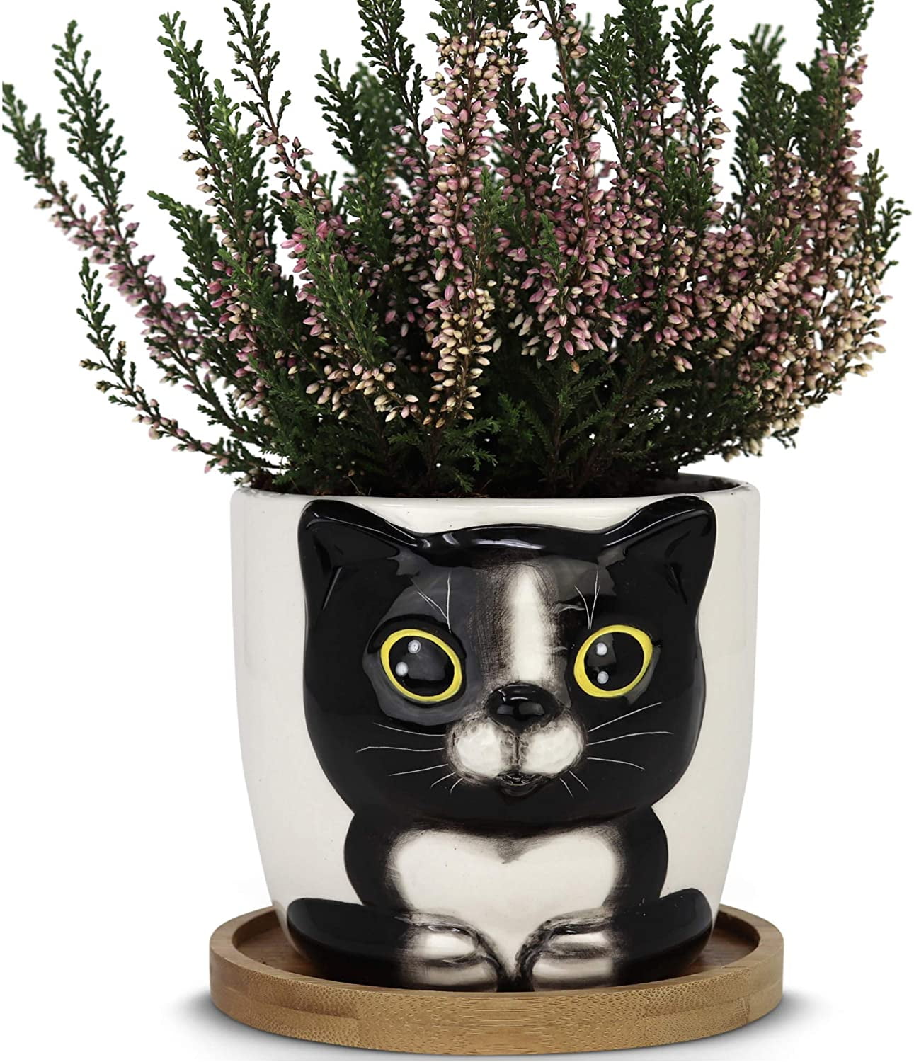 Window Garden Animal Planters - Large Kitty Pot (Tigger) Purrfect for ...
