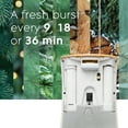 Glade Automatic Spray Refills, Air Freshener, Twinkling Pine & Cedar ...
