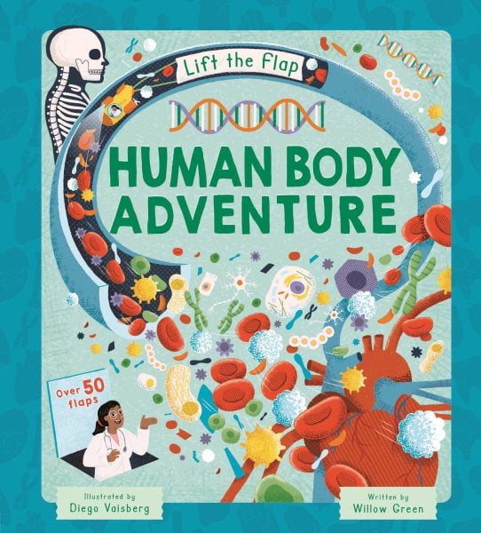 Pre-Owned Lift-The-Flap Human Body Adventure: With Over 50 Flaps ...