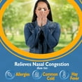 Neo-Synephrine Nasal Spray Extra Strength, Phenylephrine Nasal Spray, 0 ...
