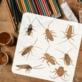 Cockroach Painting Stencil 11.8x11.8 inch Cockroach Stencil Template ...