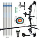 Bear Archery Wizard Youth Bow Set Includes Arrows, Armguard, Arrow ...