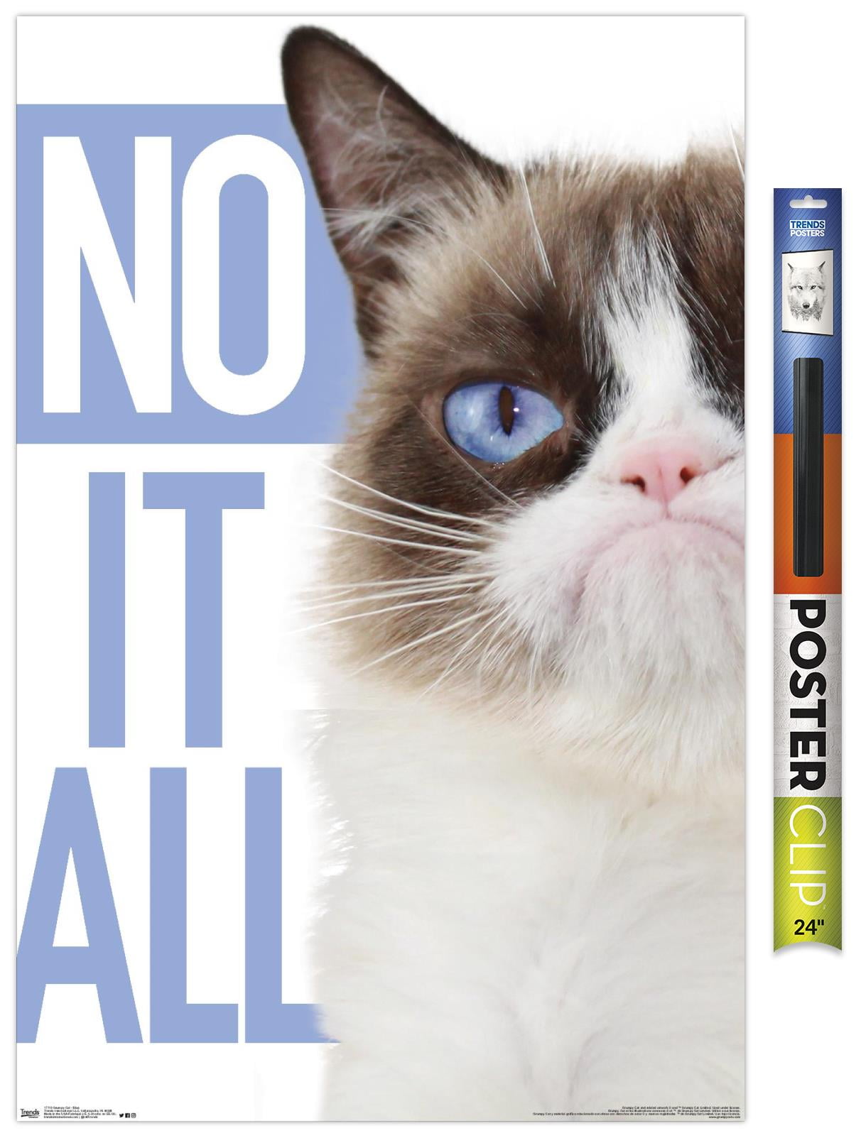 Grumpy Cat - Blue Wall Poster, 22.375" x 34" - Walmart.com