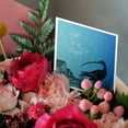 3drose, Life Is a Beach Cottages with Bird Beach Theme, 6 Greeting ...
