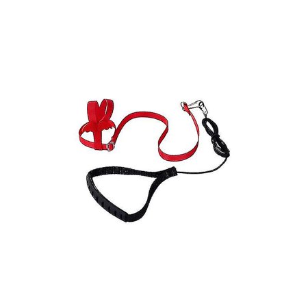 HZAFW，Pet Bird Training Toy Portable Flying Rope For Pigeons Outside ...