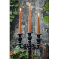 12-Pack Neon Orange Taper Candles, 10 Inch Unscented Dripless ...