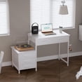 Pamray 47 inch Computer Desk with 5 Drawers and Printer Space for ...