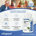 VitaPost Prostate Plus Supplement with Zinc, Saw Palmetto, Pygeum - 60 ...