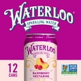 Waterloo Sparkling Water, Raspberry Nectarine, 12 fl oz, 24 Pack Cans ...