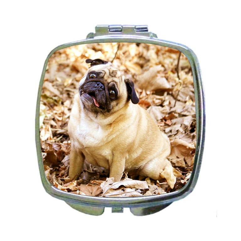 Makeup Pug Face | Saubhaya Makeup