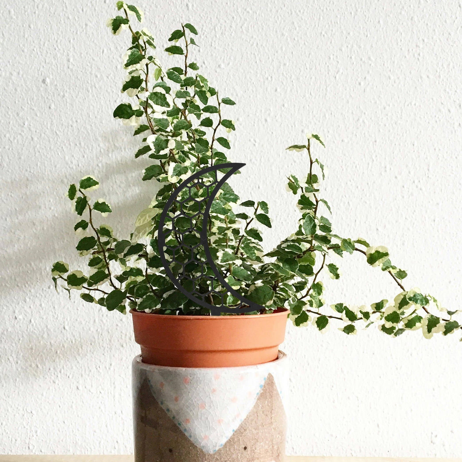 Click here for Oulii 2pcs Hanging Plant Holder Black Pp Plant Sup... prices