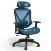 Staples Dexley Ergonomic Mesh Task Chair with Adjustable Arms, Office ...