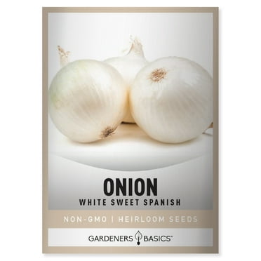 Sweet Yellow Spanish Onion Seeds/ Annual/ Full Sun/ 7K Seeds 1 oz ...