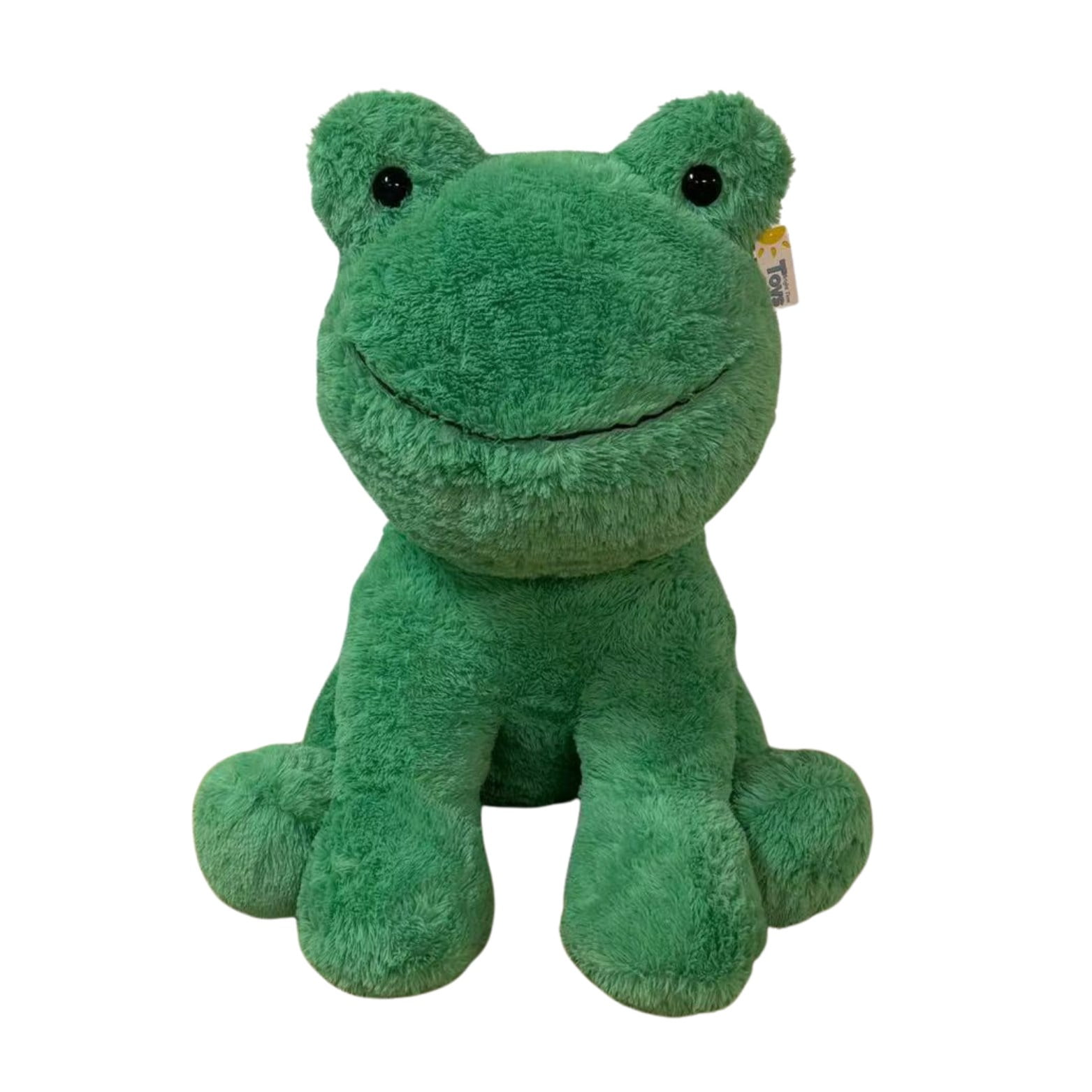 Click here for Bright Time Toys Frog prices
