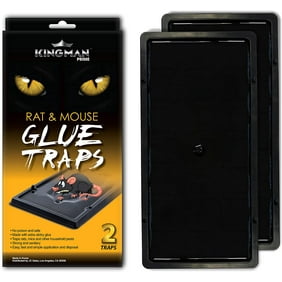 Tomcat Rat Snap Trap, 1 Trap - Walmart.com