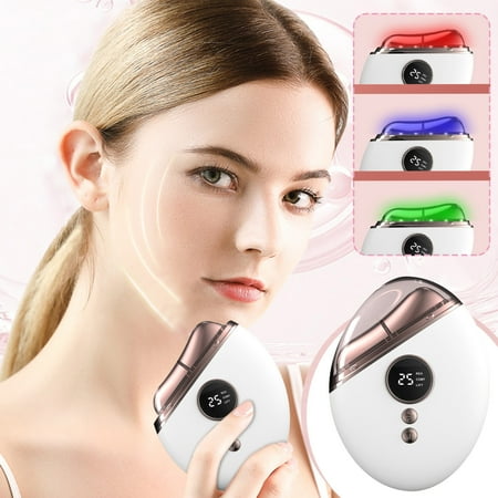 Great Value: Shiatsu Back and Neck Massager, Scraping Instrument ...