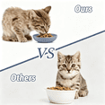 ACDANC 6 Pcs Whisker Friendly Fatigue Cat Bowl,5.5 Inch Shallow Cat ...