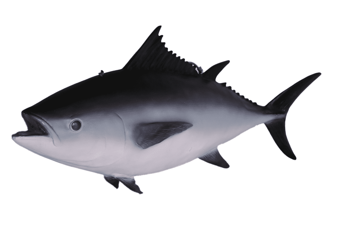 Tuna Fish Life Size Statue Prop - Walmart.com