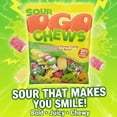 Ogo Sour Chews Fruit Flavored Chewy Candy, Individually Wrapped Sour ...