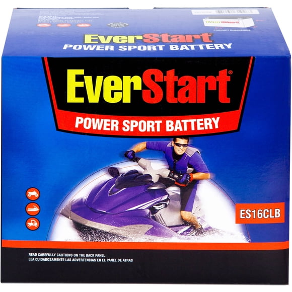 Everstart Battery Atv