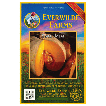 Squash Butternut, Waltham - packet - Walmart.com